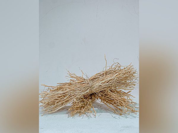 Vetiver Roots - House of Vetiver